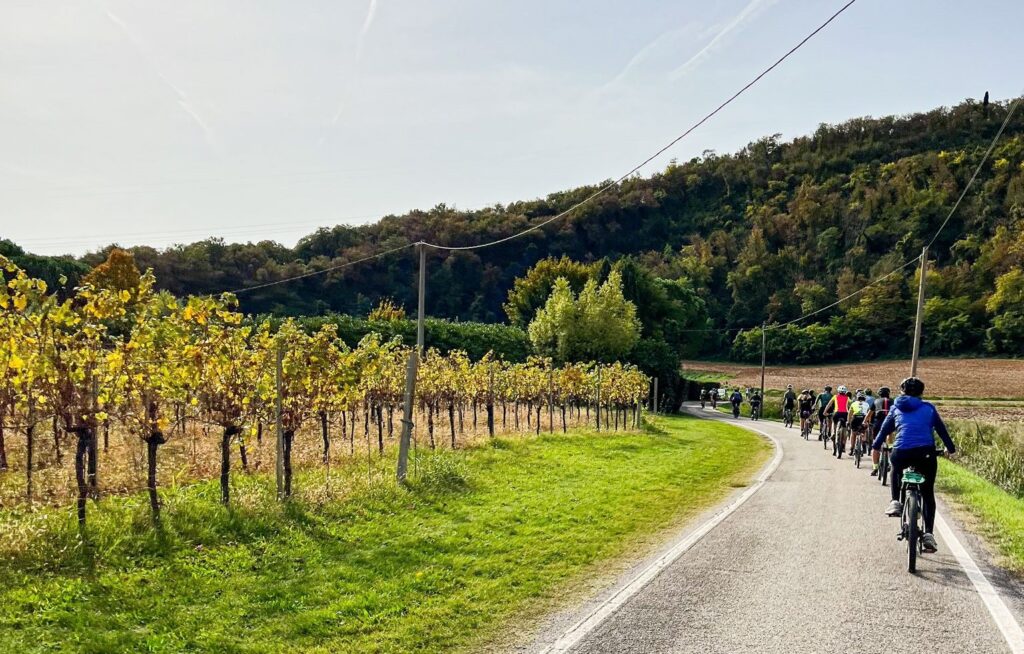 Transberica, l’esplorazione dei Colli Berici in sella a una bici ...
